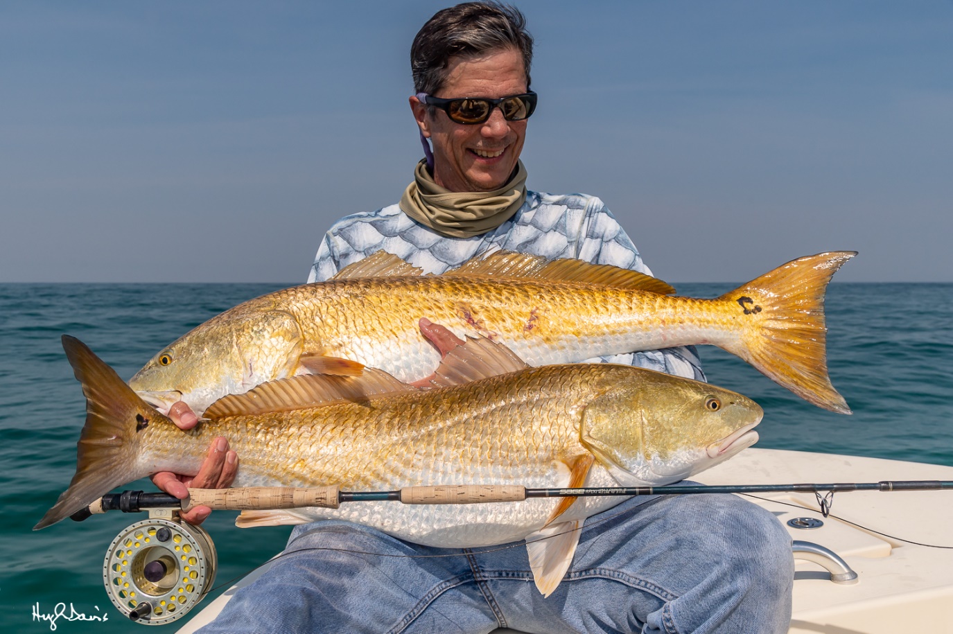 Bull Redfish – Fish Insight